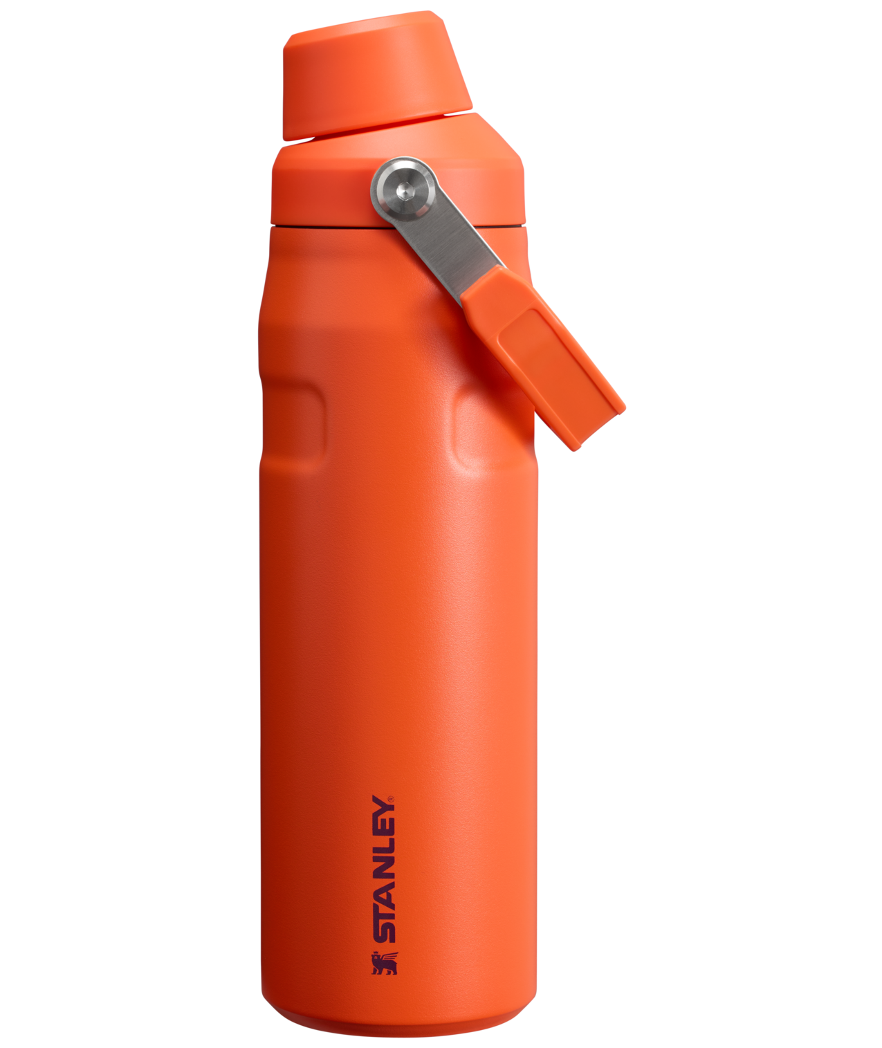 Stanley IceFlow Bottle with Fast Flow Lid | 24 OZ Tigerlily Plum ...